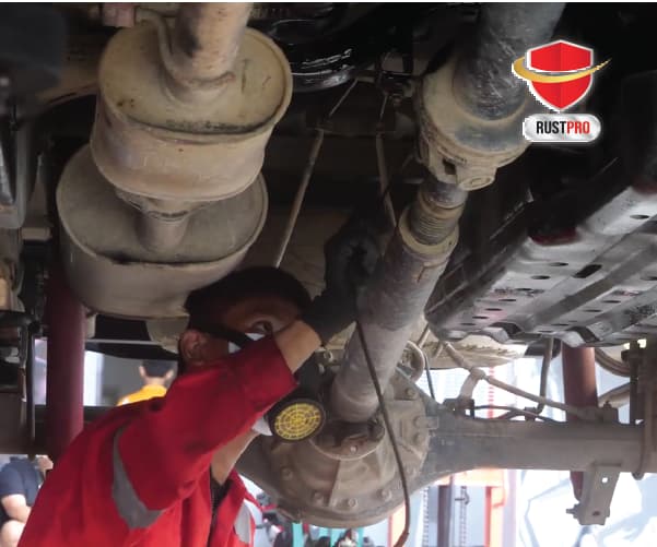 Cara Merawat Kolong Mobil yang Baik dan Benar