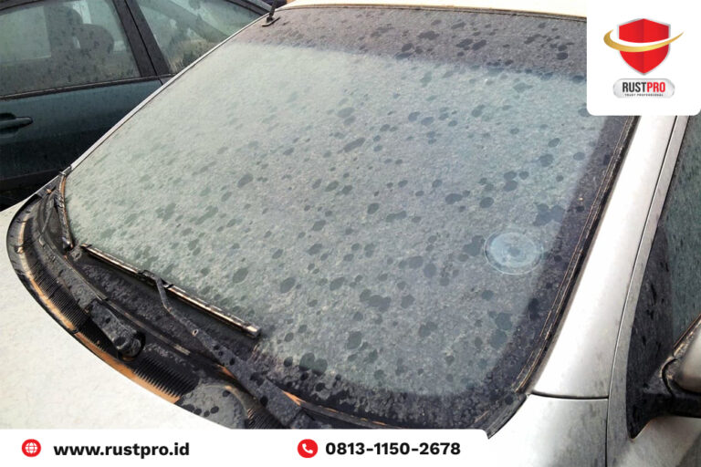 5 Cara Menghilangkan Jamur Kaca Mobil, Ampuh & Mudah - Rustpro.id